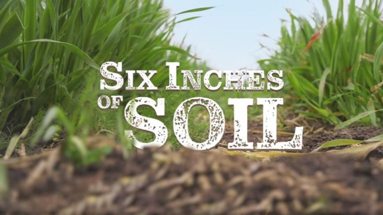 Jump Signs Contract with Springtail Productions for Publicity of Environmental Documentary Film ...